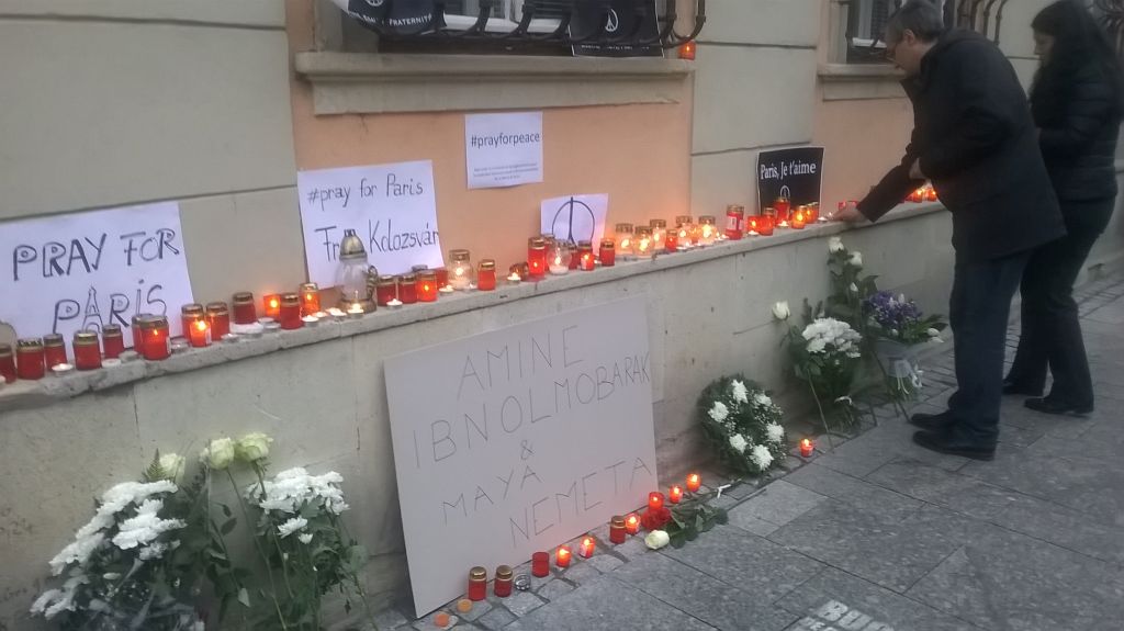 Laura Stefanut - România curată