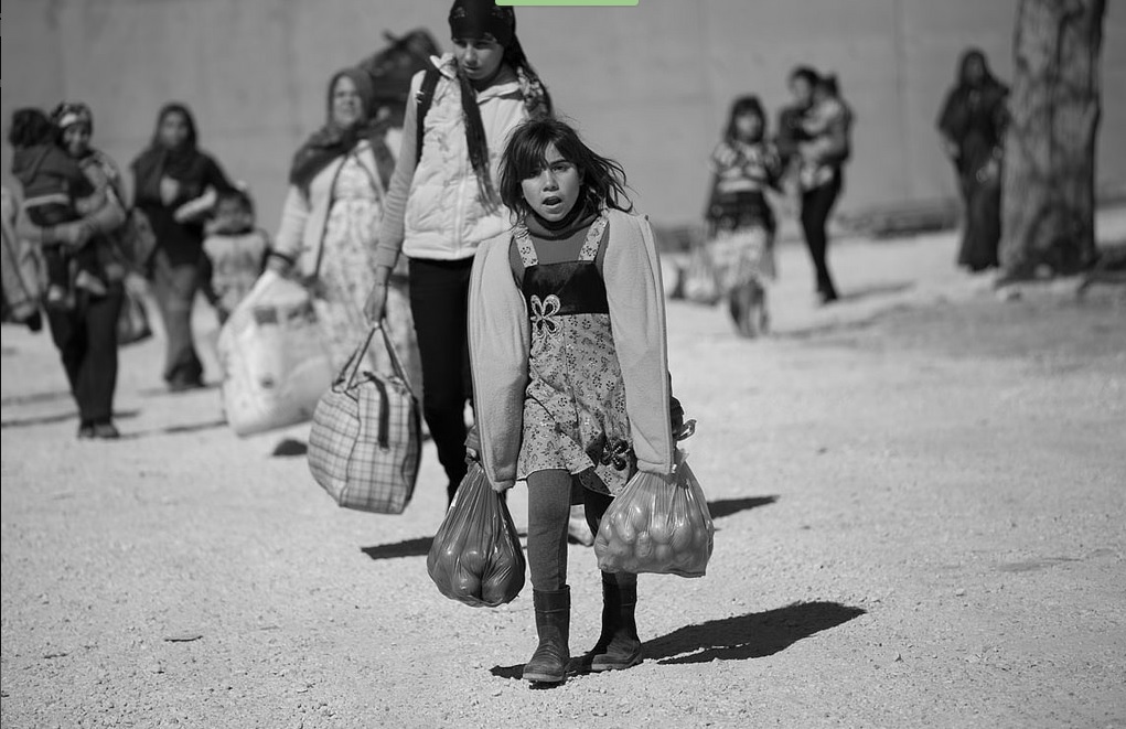 Laura Stefanut - România curată