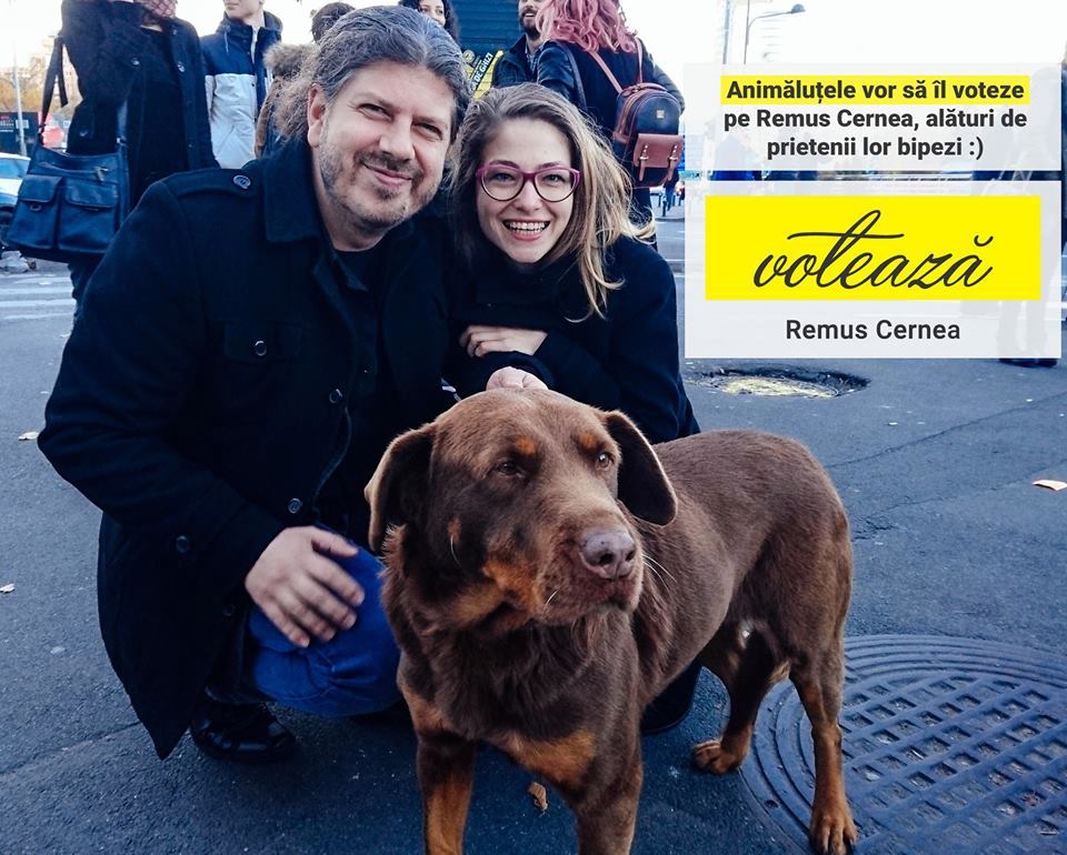 Remus Cernea: ”Sunt una dintre puținele voci politice care se opun ...